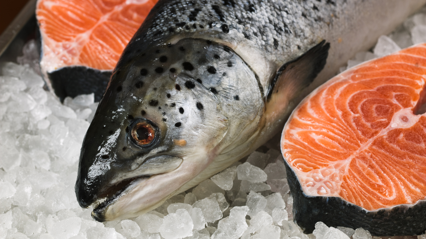 FISH – DK FOOD GROUP