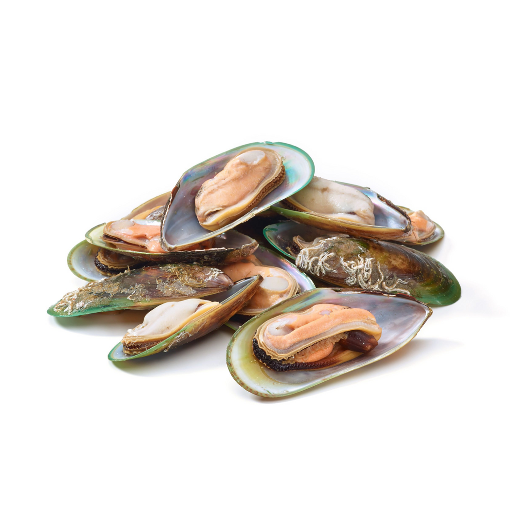 NEW ZEALAND GREEN MUSSEL – DK FOOD GROUP