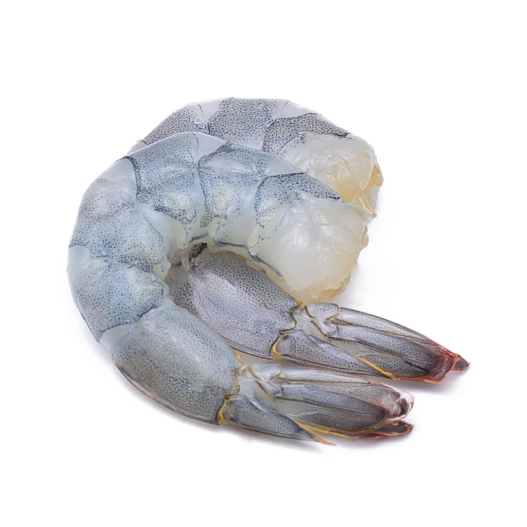 SEAFOOD – DK FOOD GROUP