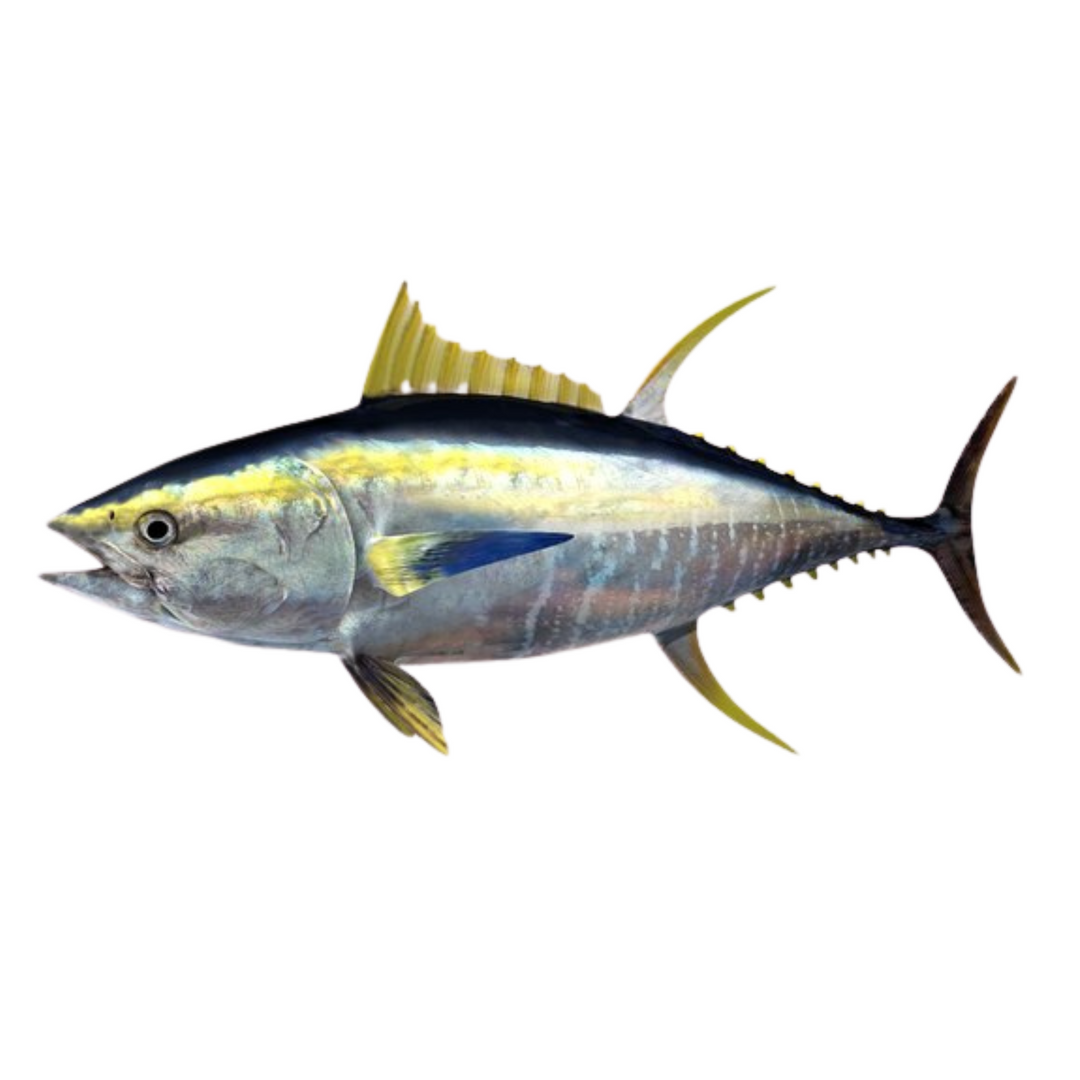 YELLOWFIN TUNA LOIN – DK Food Group